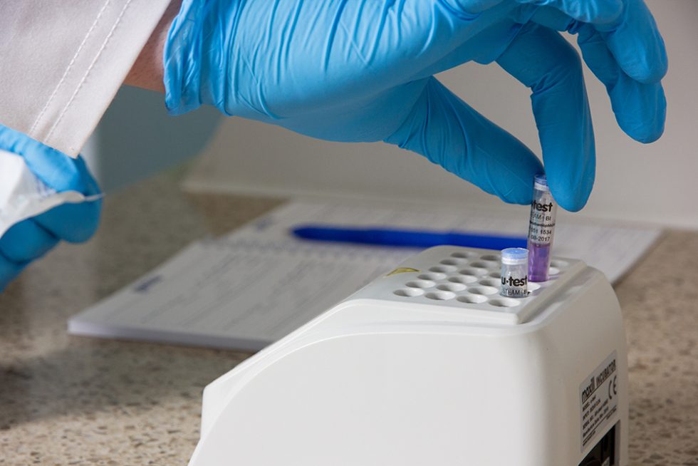 Student Resources: Becoming a Dental Hygienist in B.C. - BCDHA